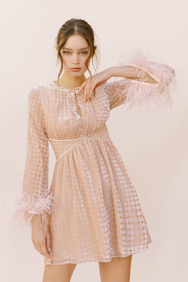 Apricot Velvet Feather Trim Lng Slv Dress – Peacocks & Pearls Lexington